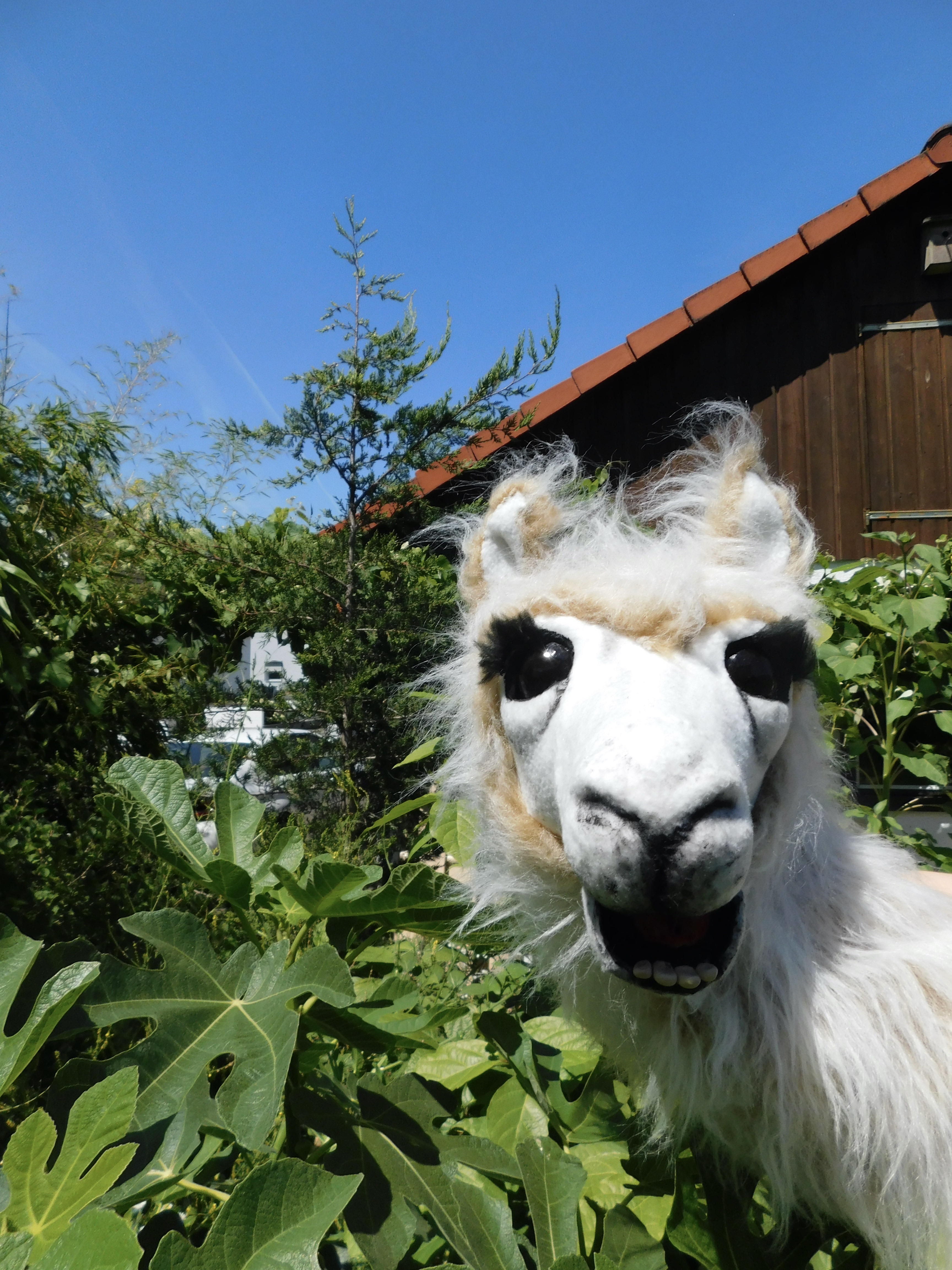 Paco the Alpaca – Spunky Puppets
