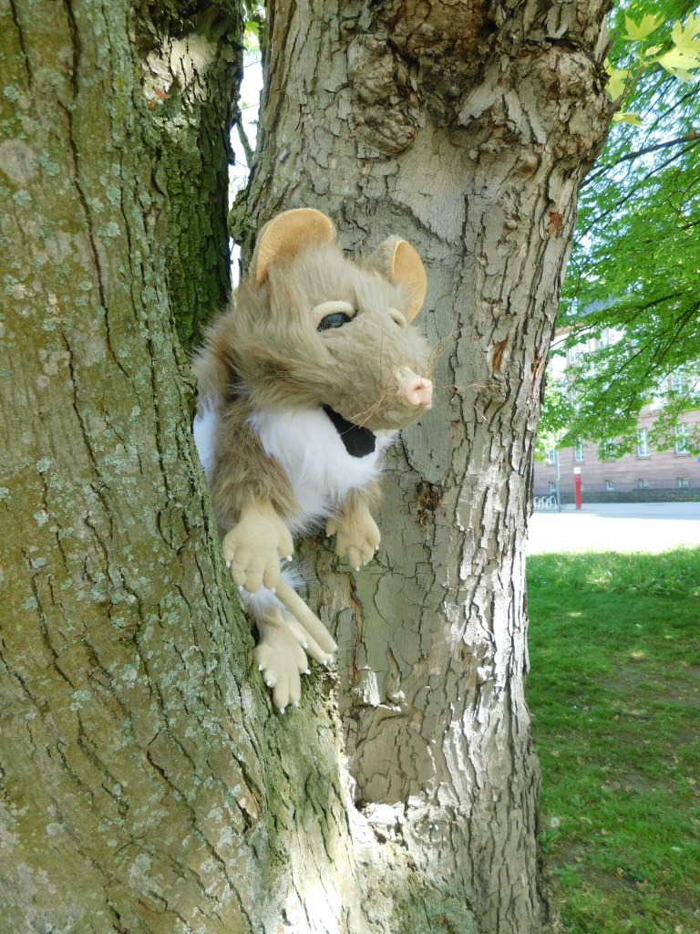 Field Mouse – Spunky Puppets